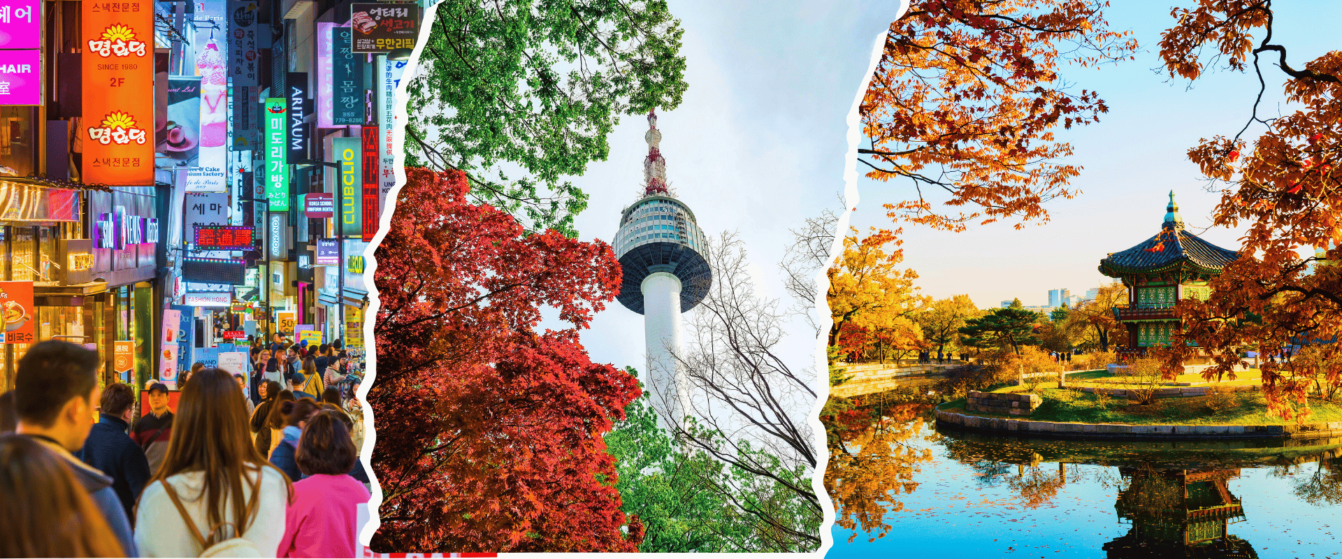 Experience South Korea in 2026 | WOLO Travel